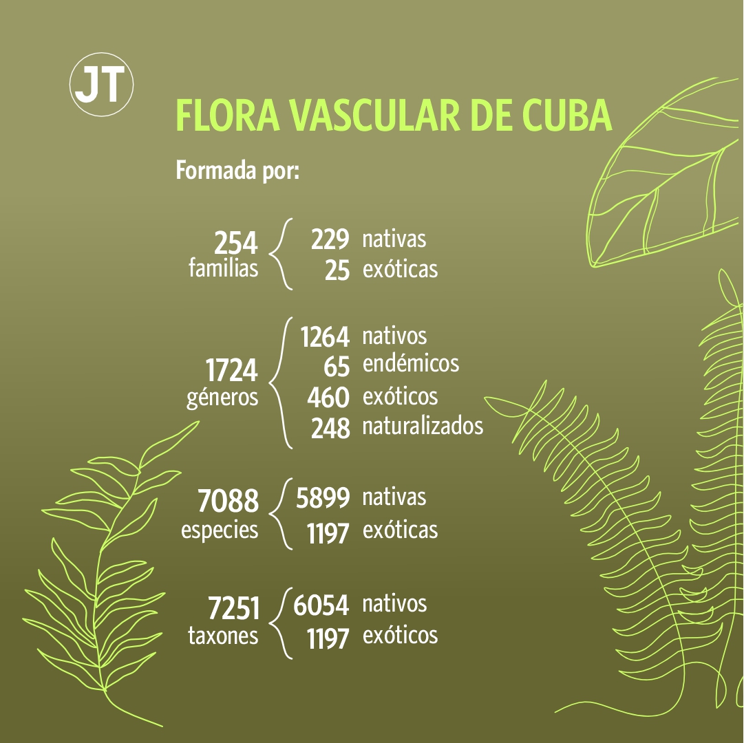 Publican el Catálogo de las Plantas de Cuba - Juventud Técnica